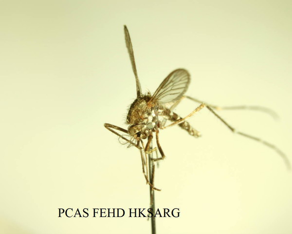 Record of animal specimens handled by Pest Control Advisory Section